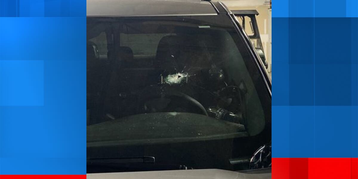 1 Dead After Shots Fired At Police During High Speed Chase